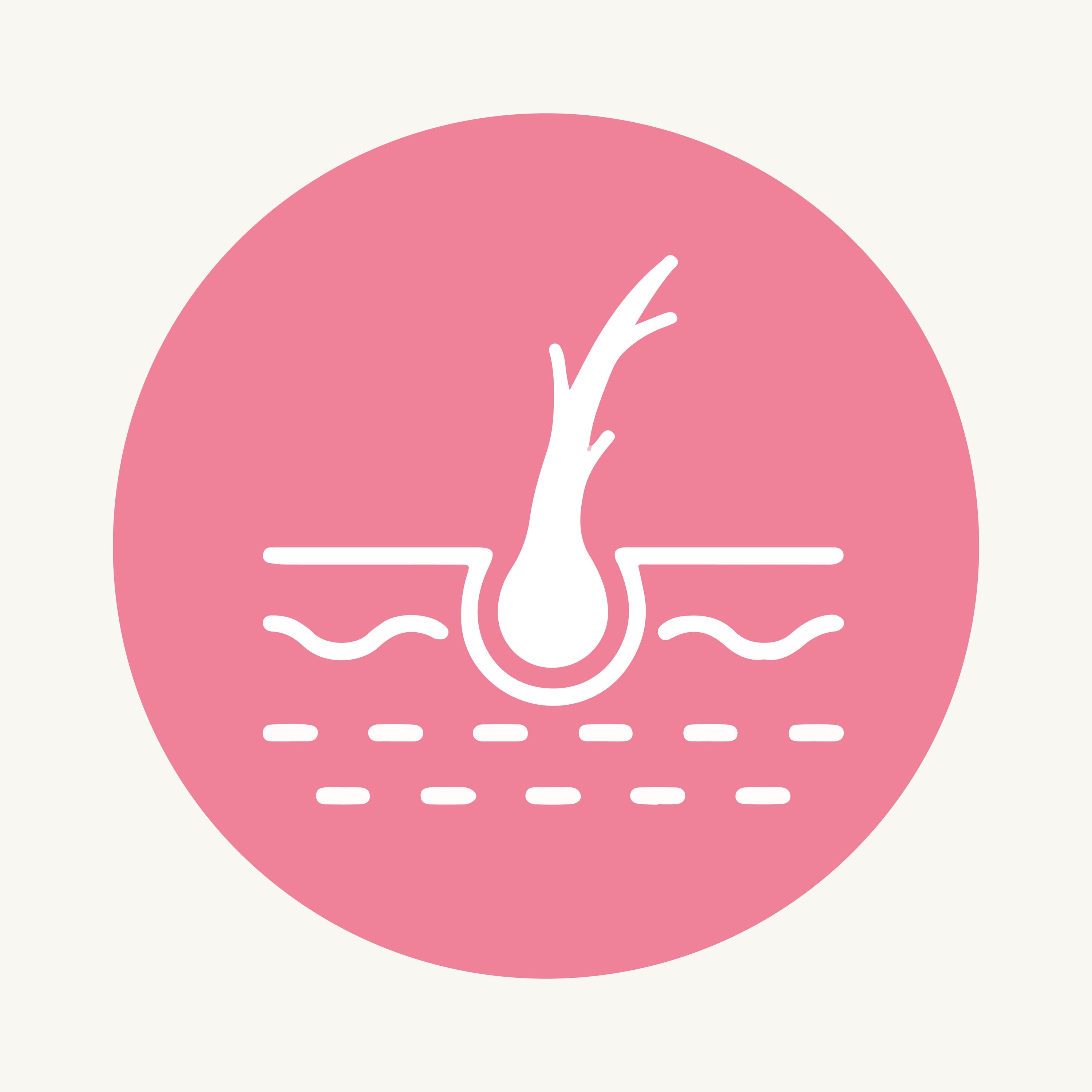 Collections – Melix Malaysia