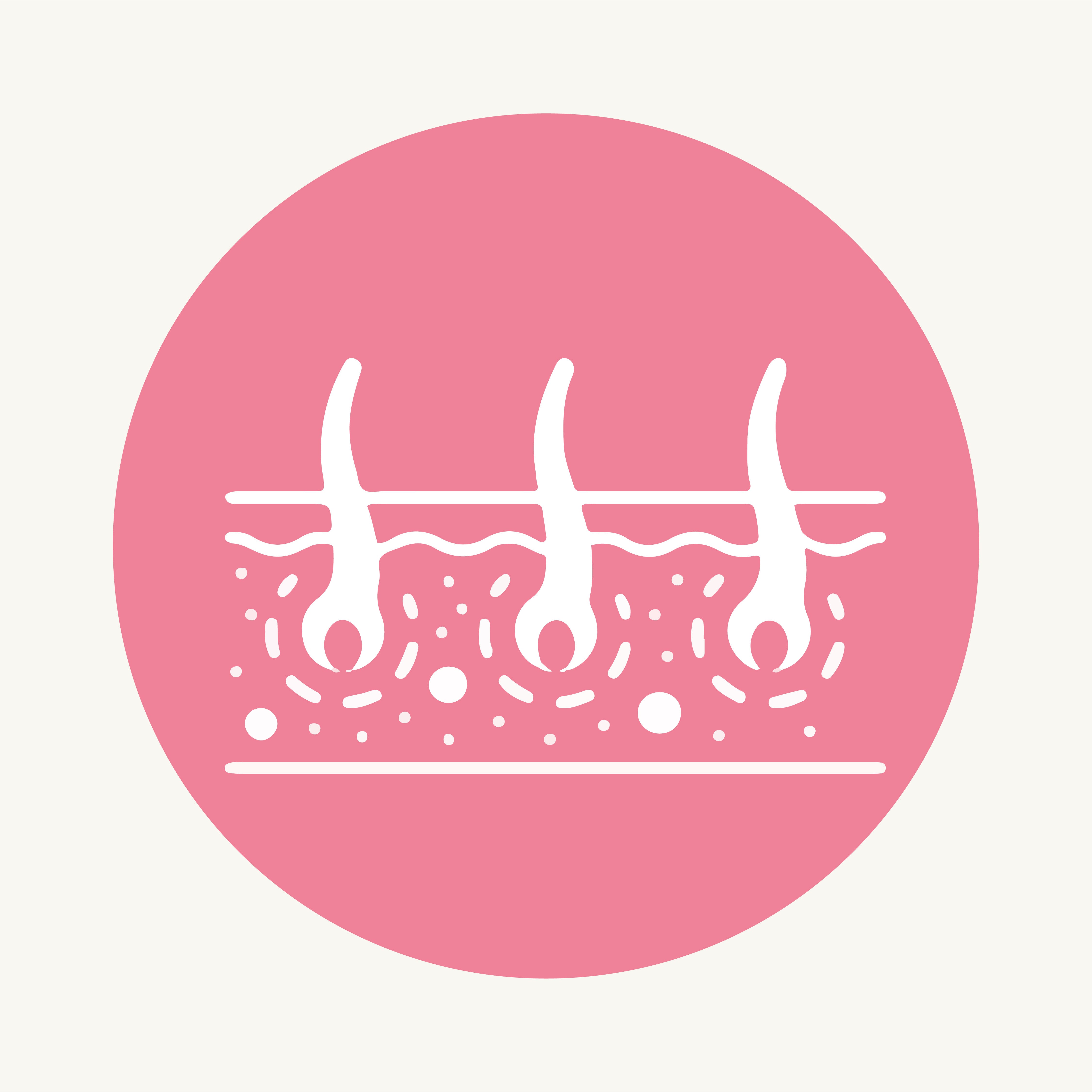 Collections – Melix Malaysia