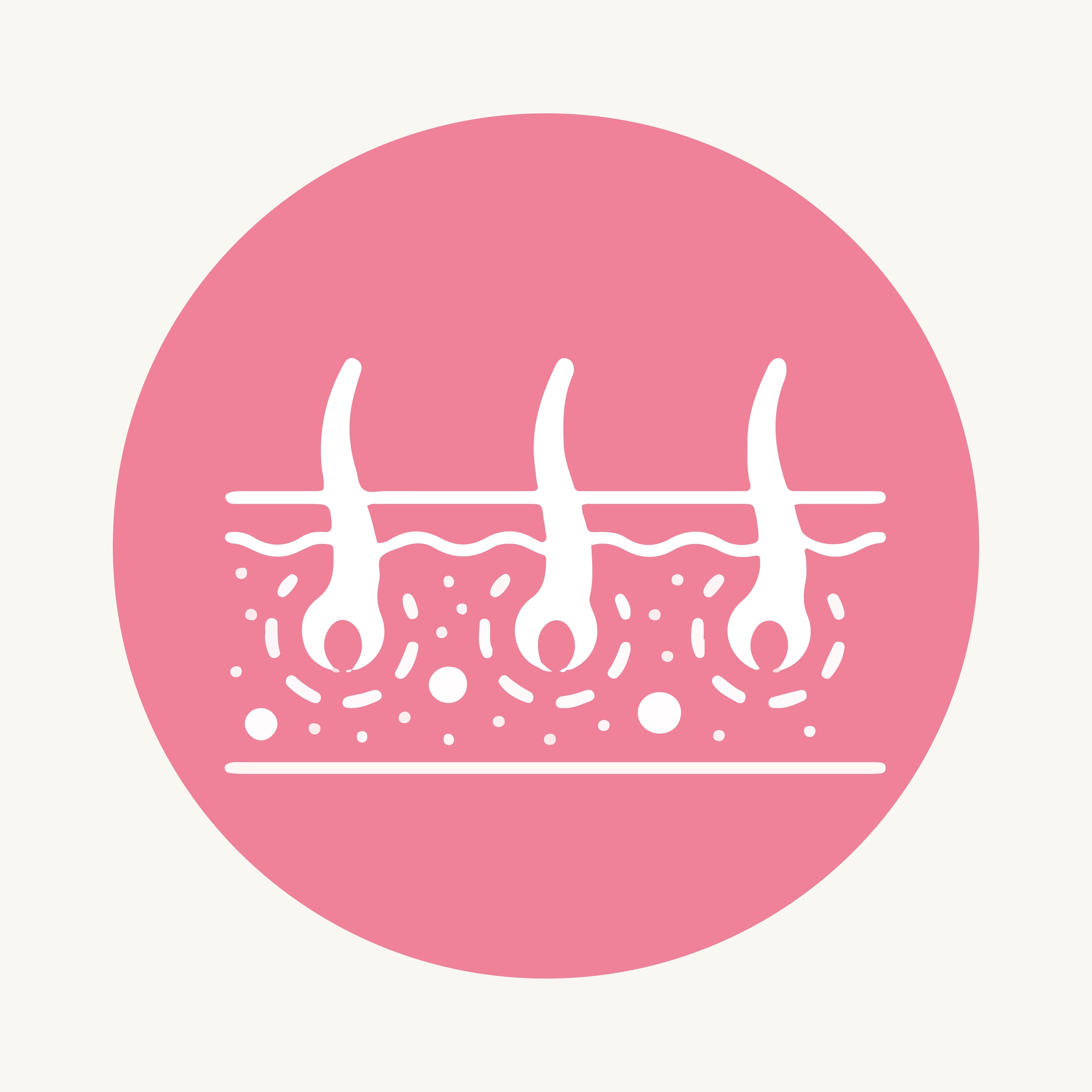 Collections – Melix Malaysia